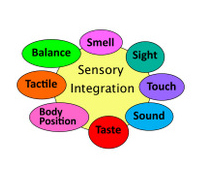 sensory chart4 – St Croix Therapy